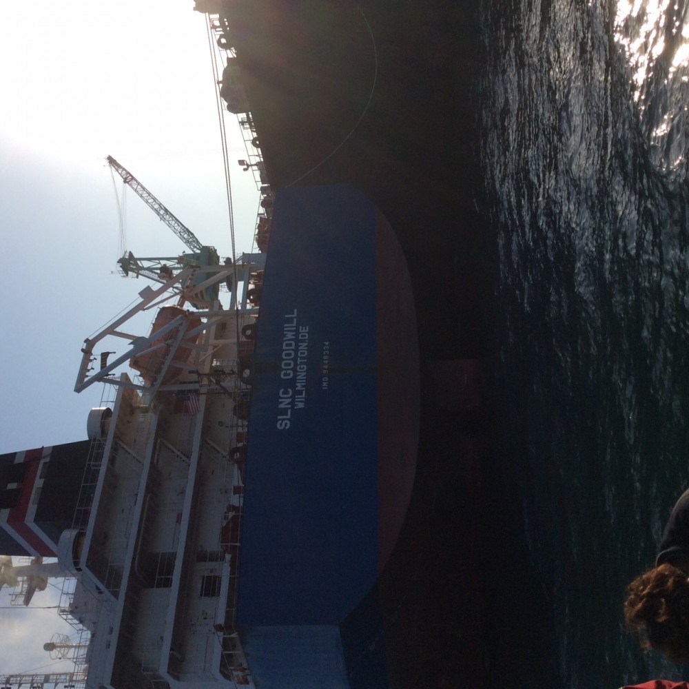 SLNC_Goodwill2 - Schuyler Line Navigation Company, LLC